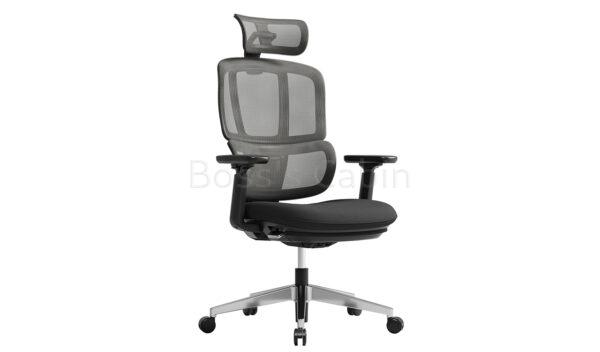 H2 Office Chair With Patented Lumbar Support: Boss's Cabin