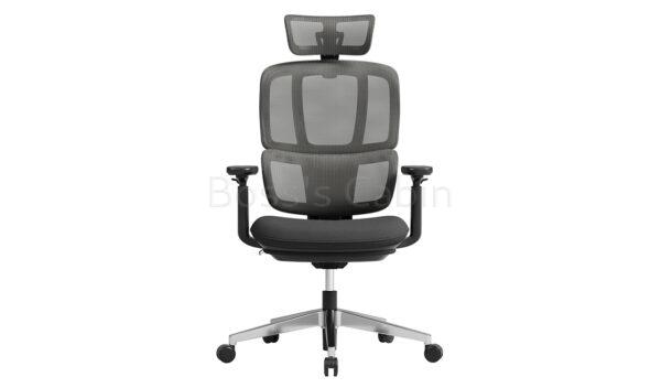 H2 Office Chair With Patented Lumbar Support: Boss's Cabin